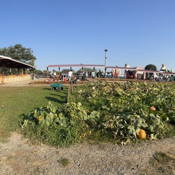 THE FARM - Updated December 2025 - 62 Photos - 769 Bray Ford Rd, Dobson ...