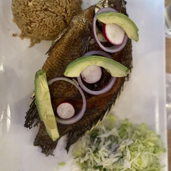 VIDA MARISCOS - Updated April 2025 - 93 Photos & 58 Reviews - 210 ...