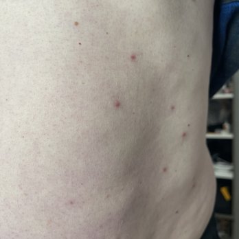 CHELSEA INN - Updated October 2025 - 50 Photos & 128 Reviews - 2095 ...