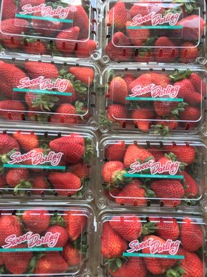 HILO PRODUCTS - Updated January 2026 - 10 Photos - 41 Makaala St, Hilo ...