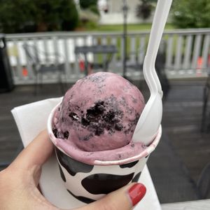 SOMERSET CREAMERY - Updated February 2025 - 71 Photos & 122 Reviews ...
