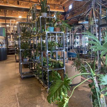 EARL GILES DISTILLERY - Updated March 2025 - 577 Photos & 168 Reviews ...