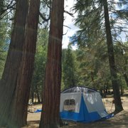 SENTINEL CAMPGROUND - 43 Photos & 18 Reviews - Cedar Grove, California ...
