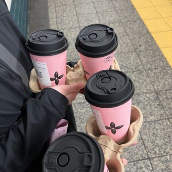 MOLLY TEA - Updated April 2025 - 130 Photos & 64 Reviews - 63 Mott St ...