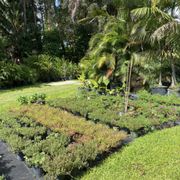 JESSE DURKO’S NURSERY - 96 Photos & 34 Reviews - 5151 SW 70th Ave ...