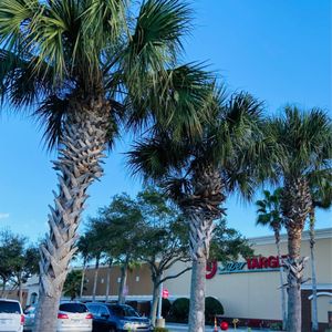 TARGET - Updated October 2025 - 23 Photos & 11 Reviews - 250 Crockett ...