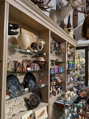 THE EVOLUTION STORE - 308 Photos & 183 Reviews - 687 Broadway, New York ...