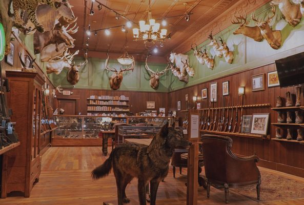 SCHNEE’S BOOTS & SHOES - Updated September 2025 - 63 Photos & 30 ...