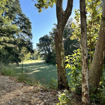 SYCAMORE RANCH - Updated October 2025 - 60 Photos & 21 Reviews - 5390 ...