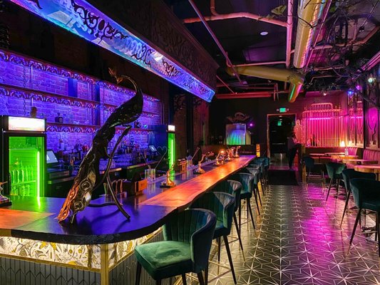 DARLING AVIARY - 496 Photos & 316 Reviews - 712 K St, Sacramento ...