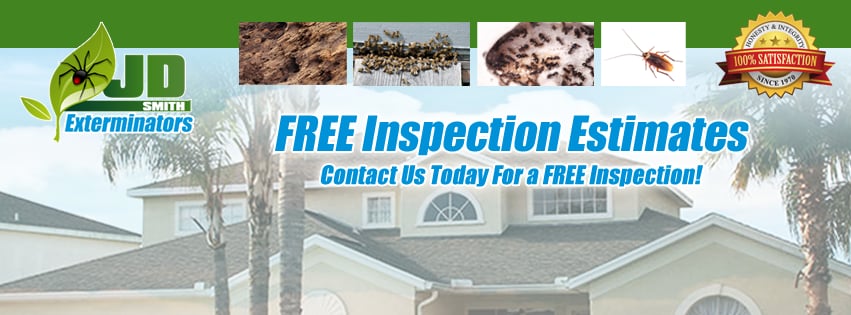 JD SMITH PEST CONTROL - Updated May 2025 - 30 Photos & 11 Reviews - 509 ...