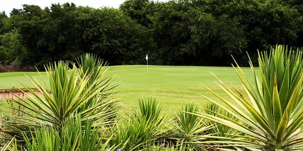 WHITESTONE GOLF CLUB - Updated June 2026 - 30 Reviews - 10650 Hwy 377 S ...