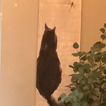 YAMA SI JAPANESE KITCHEN - Updated August 2025 - 59 Photos & 34 Reviews ...