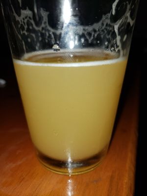 WOUNDED MINNOW SALOON - Updated November 2024 - 40 Photos & 56 Reviews ...