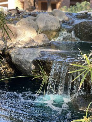 NORTHSIGHT RECOVERY - Updated December 2025 - 16 Photos - 1440 E ...