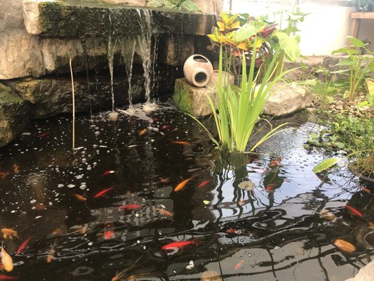 SHERIDAN NURSERIES - Updated December 2025 - 11 Photos & 16 Reviews ...