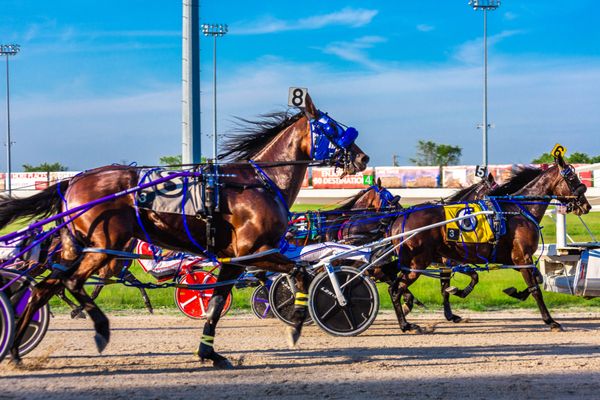 ELDORADO GAMING SCIOTO DOWNS - A CAESARS REWARDS DESTINATION - Updated ...