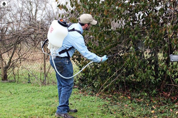 LOOKOUT PEST CONTROL - Updated October 2025 - 23 Photos & 38 Reviews ...