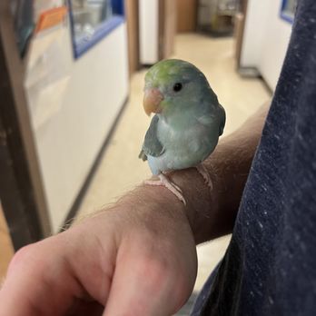 MAGNOLIA BIRD FARM - Updated June 2025 - 147 Photos & 195 Reviews ...