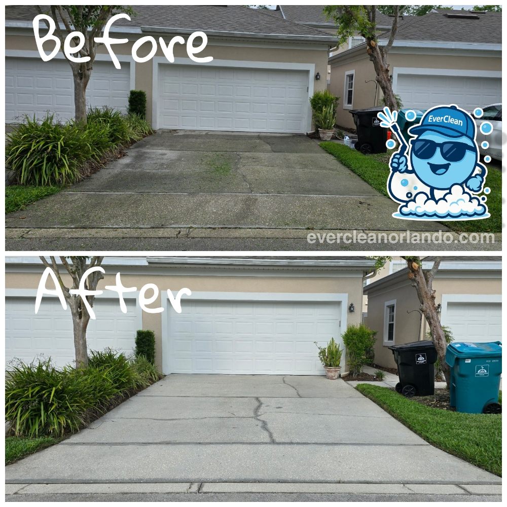 EVERCLEAN WINDOWS - Updated October 2025 - Request a Quote - 20 Photos ...