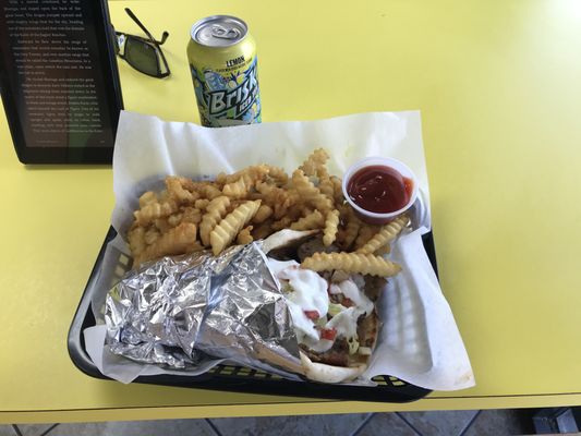 HALAL GYROS & CHEESESTEAK - Updated August 2024 - 41 Photos & 55 ...