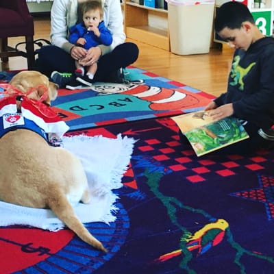 BEAUMONT LIBRARY DISTRICT - Updated January 2026 - 17 Photos & 16 ...