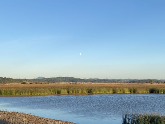 FERN RIDGE WILDLIFE AREA - Updated November 2025 - 18 Photos - Green ...