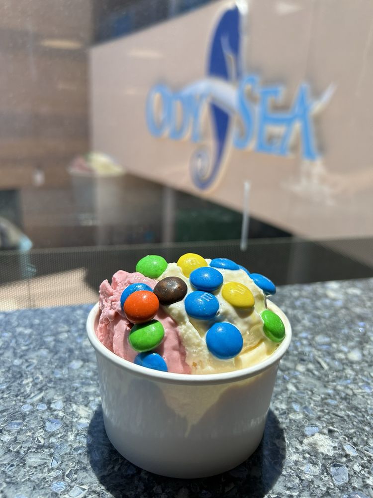 FROZEN PENGUIN - Updated December 2024 - 43 Photos & 40 Reviews - 9500 ...