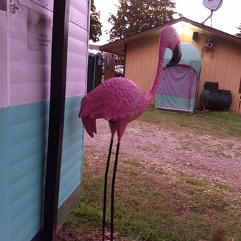 TIGER DRIVE IN THEATRE - Updated August 2025 - 19 Photos & 17 Reviews ...