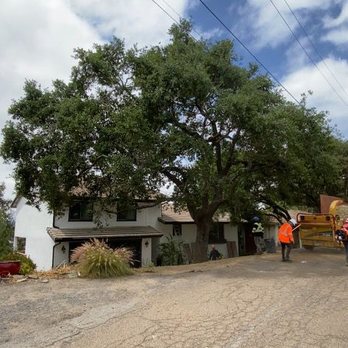 SANTOS PENA TREE CARE AND SERVICES - Updated October 2024 - 70 Photos ...