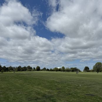 SUNNYVALE GOLF COURSE - Updated September 2025 - 109 Photos & 111 ...