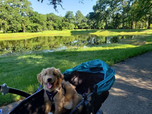 CYPRESSWOOD TRAILS - Updated 2024 - 32 Photos - 6727 Cypresswood Dr ...