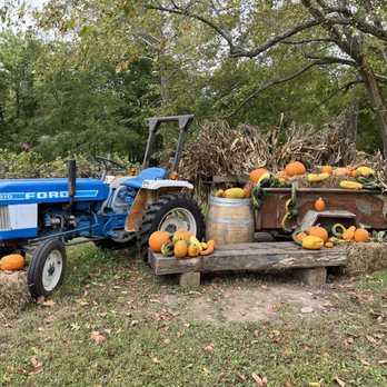 SASSAFRAS SPRINGS VINEYARD - Updated December 2025 - 114 Photos & 65 ...