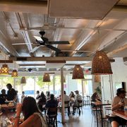 EL ALMA - 1404 Photos & 1218 Reviews - 1025 Barton Springs Rd, Austin ...