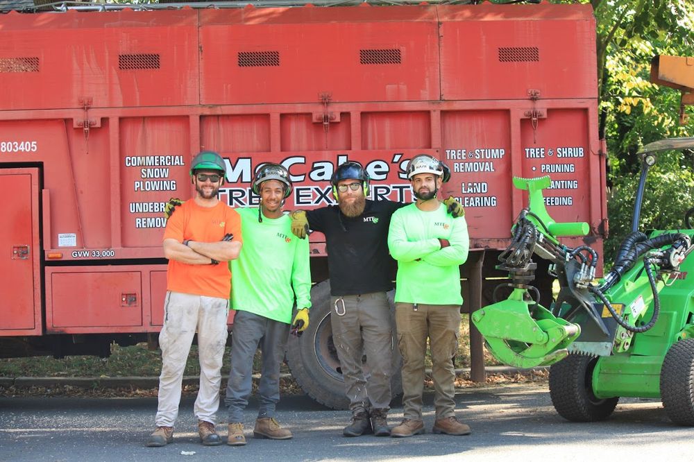 MCCABE’S TREE EXPERTS - Updated October 2025 - 23 Photos - Manville ...