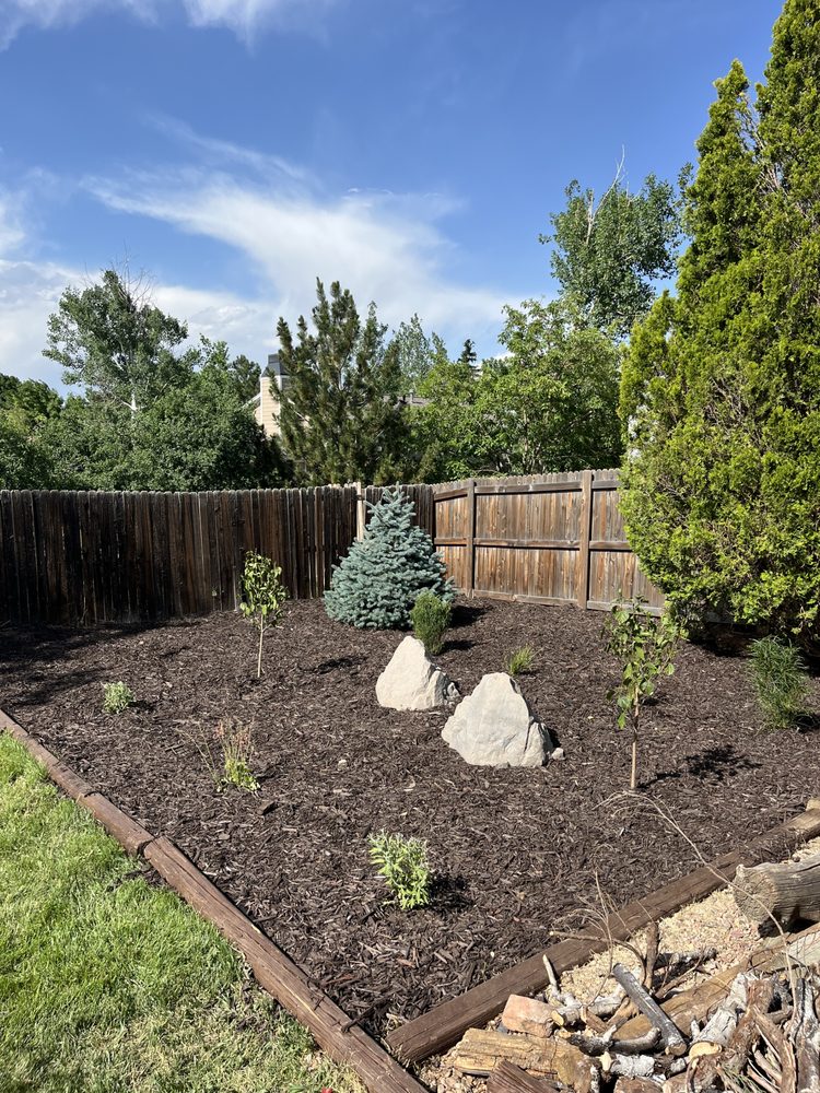 TATE HARVEY - Updated August 2025 - 11 Photos - Westminster, Colorado ...