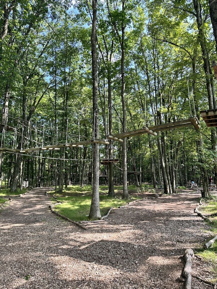 GORILLA GROVE TREETOP ADVENTURES - Updated October 2025 - 51 Photos ...