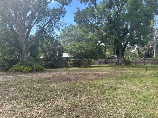 DARINELS TREE SERVICE MORE - Updated October 2025 - Bradenton, Florida ...