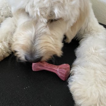 LE MARCEL BAKERY FOR DOGS - Updated July 2025 - 262 Photos & 164 ...