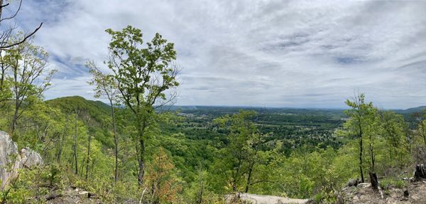 DEVIL’S RACE TRACK TRAIL - Updated August 2025 - 10 Photos - Devil's ...