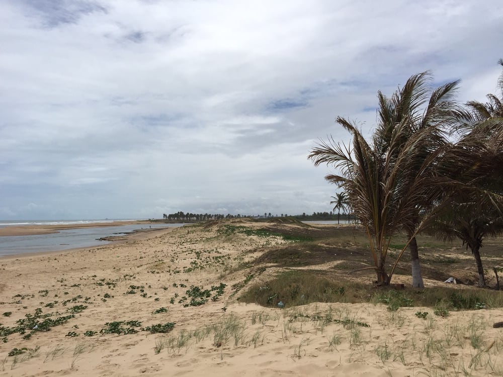 PRAIA DE PIRAMBU - Updated February 2025 - 11 Photos - Av. Maria a ...