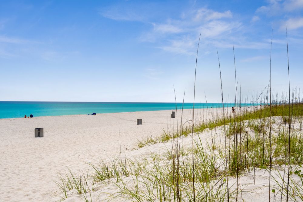 SUNCOAST SERVICES - Updated July 2025 - Request Consultation - Panama ...