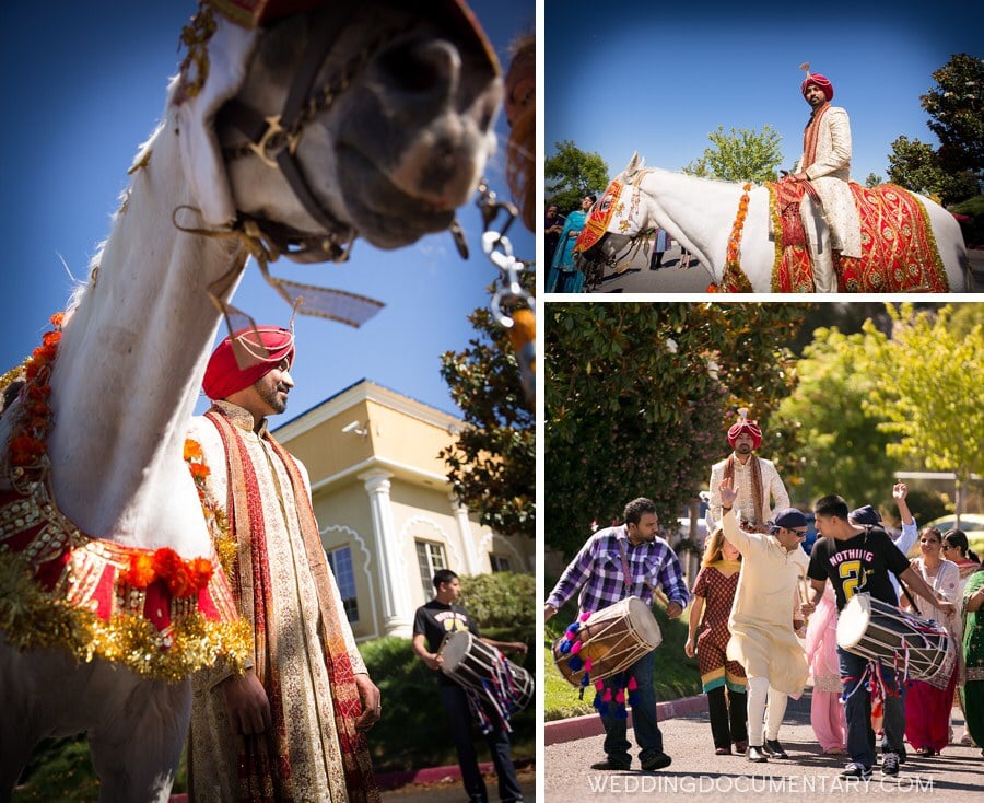 HACKNEY HORSE AND CARRIAGE - Updated August 2025 - 13 Photos & 17 ...