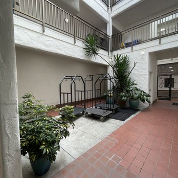 CAROUSEL BEACH INN - Updated September 2025 - 220 Photos & 231 Reviews ...