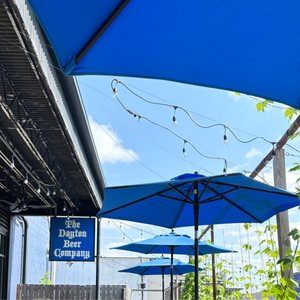 DAYTON BEER COMPANY - 124 Photos & 80 Reviews - 41 Madison St, Dayton ...
