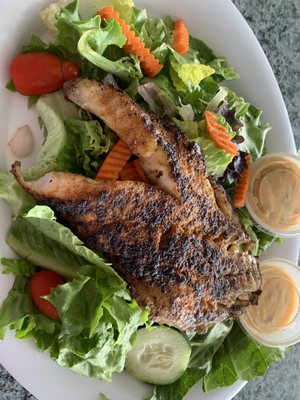 CASEY KEY FISH HOUSE - 334 Photos & 506 Reviews - Seafood - 801 ...