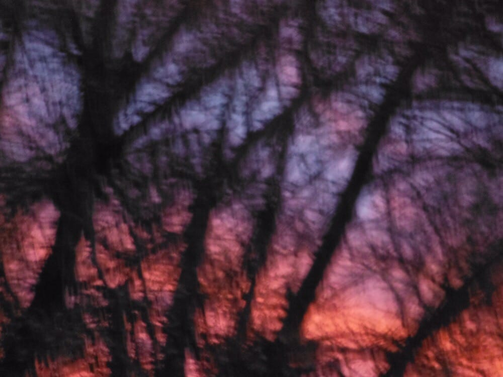 SPRING ROLLS - Updated January 2026 - 17 Reviews - 321 13th Street N ...