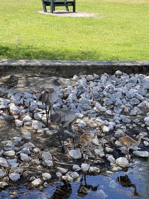 RED BUG LAKE PARK - 137 Photos & 35 Reviews - 3600 Red Bug Lake Rd ...