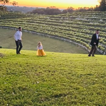 TRATTORIA DI MONTALUCE - Updated July 2024 - 117 Photos & 76 Reviews ...