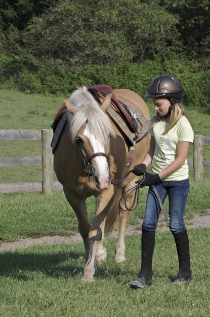 QUEENSIDE STABLES - Updated January 2026 - Seattle, Washington ...